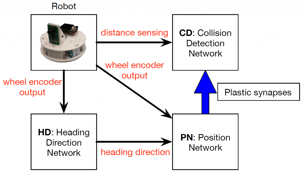 Towards Neuromorphic SLAM and Navigation – Brain Inspired Navigation Blog